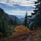 Huntoon Point via Artist Ridge Trail, Washington - 719 Reviews, Map ...