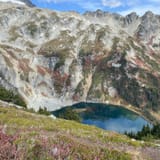 Sahale Arm Trail to Sahale Mountain, Washington - 345 Reviews, Map ...