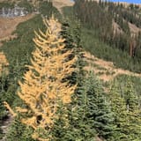 Sarrail Ridge via Rawson Lake Trail, Alberta, Canada - 2,895 Reviews ...