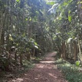 Aquila Loop, Queensland, Australia - 180 Reviews, Map | AllTrails
