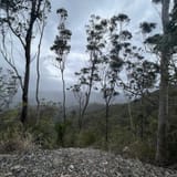 Aquila Loop, Queensland, Australia - 180 Reviews, Map | AllTrails