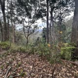 Aquila Loop, Queensland, Australia - 140 Reviews, Map | AllTrails