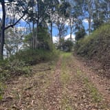 Aquila Loop, Queensland, Australia - 140 Reviews, Map | AllTrails