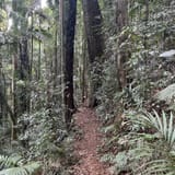 Aquila Loop, Queensland, Australia - 180 Reviews, Map | AllTrails