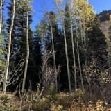 Booth Lake Trail, Colorado - 1,075 Reviews, Map | AllTrails