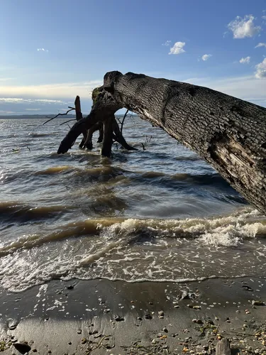 Best Hikes and Trails in Douglas Point Special Recreation Management ...