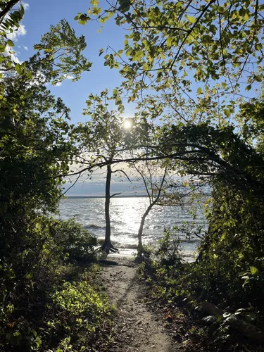 Best Hikes and Trails in Douglas Point Special Recreation Management ...