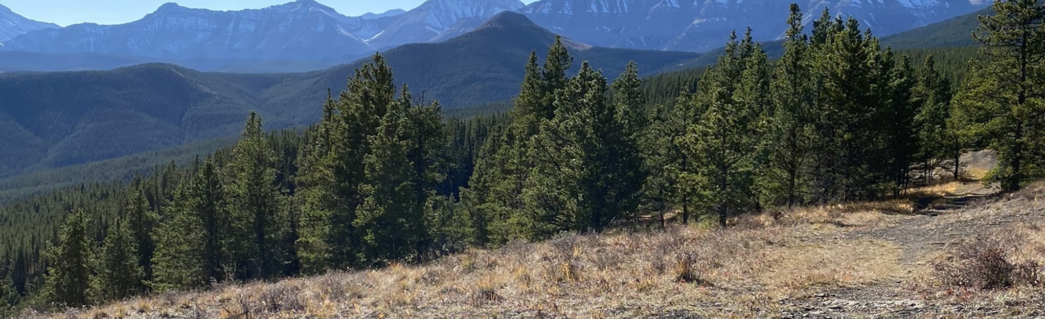 South Volcano Ridge and Gorge Creek Loop: 226 Fotos - Alberta, Kanada ...