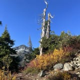 Golden Ears Summit Trail, British Columbia, Canada - 1,071 Reviews, Map ...