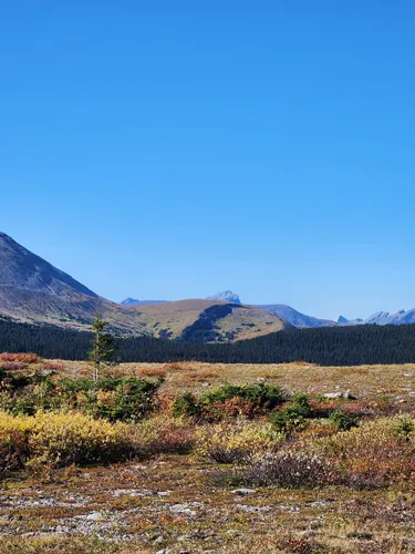 Best Hikes and Trails in Cardinal Divide Natural Area | AllTrails