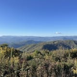 Rattlesnake Ridge Trail, Tennessee - 153 Reviews, Map | AllTrails