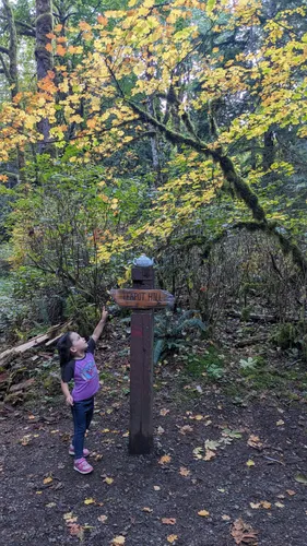 2023 Best River Trails in Cultus Lake South | AllTrails
