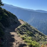 McNeil Point Trail, Oregon - 2,722 Reviews, Map | AllTrails