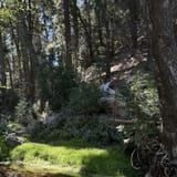 Heart Rock Trail, California - 3,025 Reviews, Map | AllTrails