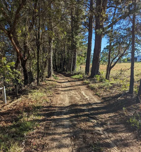 Best 10 Hikes and Trails in Jilliby State Conservation Area | AllTrails