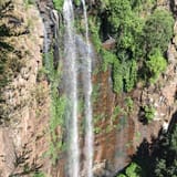 Queen Mary Falls Circuit, Queensland, Australia - 242 Reviews, Map ...