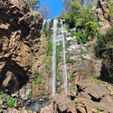 Queen Mary Falls Circuit, Queensland, Australia - 242 Reviews, Map ...