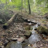 Tyler State Park Trail, Pennsylvania - 1,645 Reviews, Map | AllTrails
