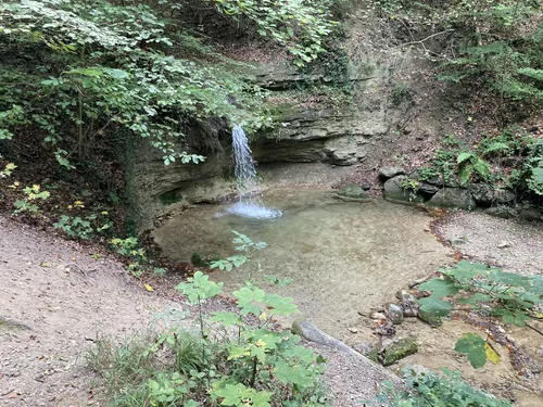 Forch: Die schönsten Routen zum Wandern | AllTrails
