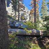 Angela, Flora, and Azalea Lakes via Ski Ranch and PCT Loop, California ...