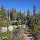 Angela, Flora, and Azalea Lakes via Ski Ranch and PCT Loop, California ...