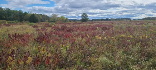 Best Hikes and Trails in Shawangunk Grassland National Wildlife Refuge ...
