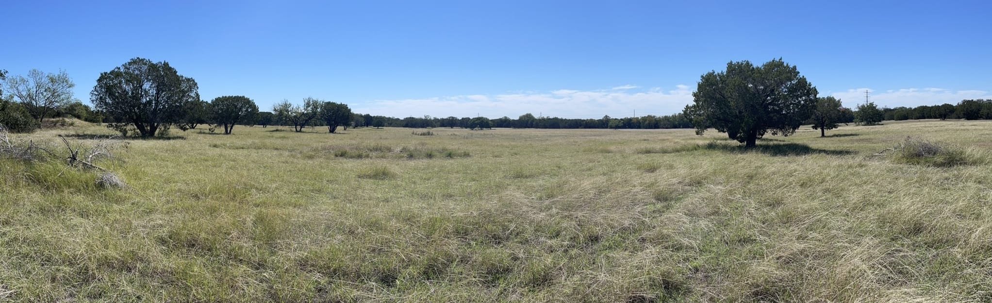 Parrie Haynes Trail, Texas - 60 Reviews, Map | AllTrails