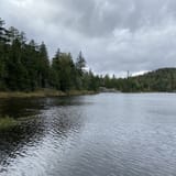 Crane Mountain Loop Hike, New York - 1,315 Reviews, Map | AllTrails