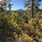 Tinton Trail, South Dakota - 113 Reviews, Map | AllTrails