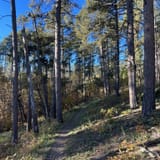 Tinton Trail, South Dakota - 113 Reviews, Map | AllTrails