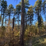 Tinton Trail, South Dakota - 113 Reviews, Map | AllTrails