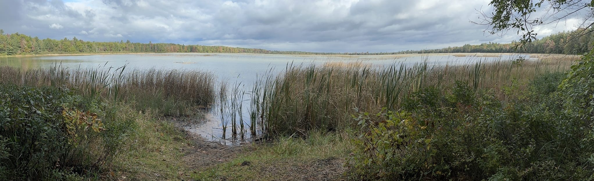 Marl Lake Trail Loop, Michigan - 388 Reviews, Map | AllTrails