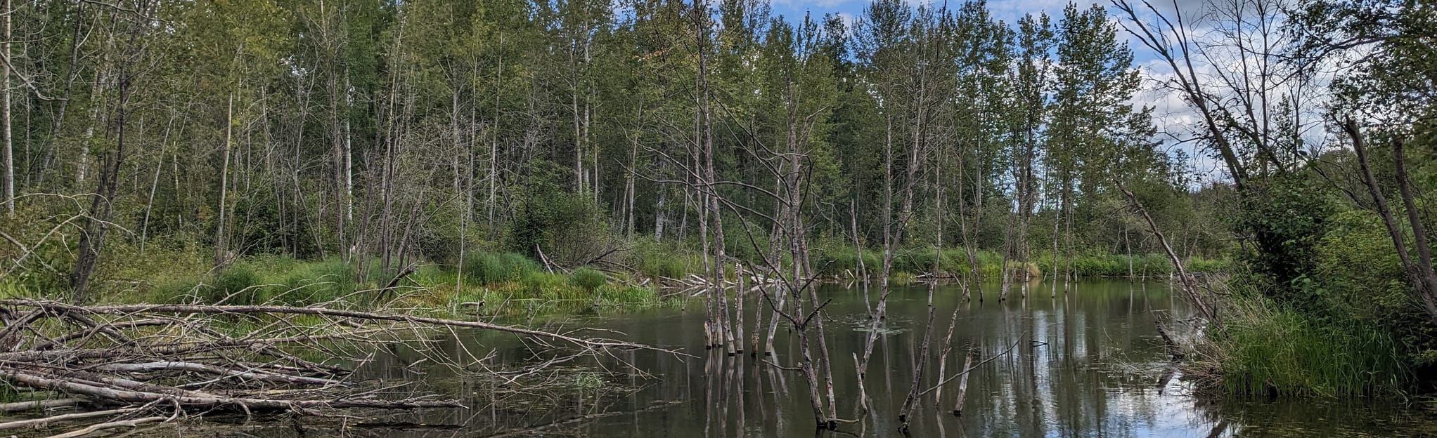 Pigeon Lake Provincial Park Loop: 69 foto's - Alberta, Canada ...