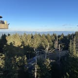 Mount Buckley via Clingmans Dome Bypass Trail, North Carolina - 886 ...