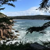 Ocean Path Trail, Maine - 3,302 Reviews, Map | AllTrails