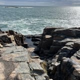 Ocean Path Trail, Maine - 3,302 Reviews, Map | AllTrails