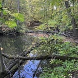 Aman Park Loop, Michigan - 1,217 Reviews, Map | AllTrails