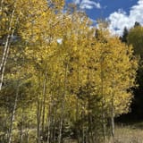 Crystal Springs Loop, Utah - 126 Reviews, Map | AllTrails