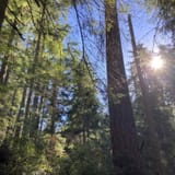 Ridge Loop Trail , Washington - 403 Reviews, Map | AllTrails