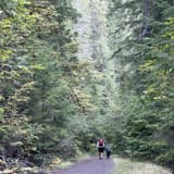 Dosewallips River Road Trail, Washington - 629 Reviews, Map | AllTrails