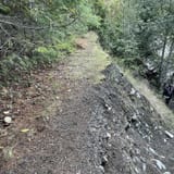 Dosewallips River Road Trail, Washington - 629 Reviews, Map | AllTrails