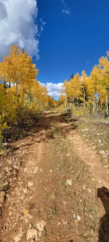 2023 Best Bird Watching Trails in Duck Creek Village | AllTrails