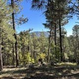 Mars Hill Trail, Arizona - 1,222 Reviews, Map | AllTrails