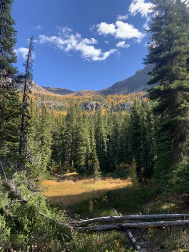 10 Best Horseback Riding Trails in Okanogan-Wenatchee National Forest ...