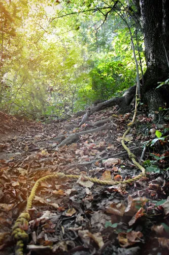 2023 Best River Trails In Kansas City Alltrails