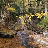 Sam's Knob and Little Sam Loop , North Carolina - 487 Reviews, Map ...