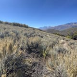 Heber Valley Overlook, Utah - 412 Reviews, Map | AllTrails