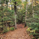 Champney Falls Trail, New Hampshire - 1,543 Reviews, Map | AllTrails
