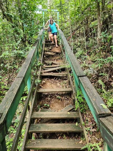 Best Hikes and Trails in State Forest of Guajataca | AllTrails