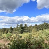 Case Mountain Trail, Connecticut - 1,081 Reviews, Map | AllTrails